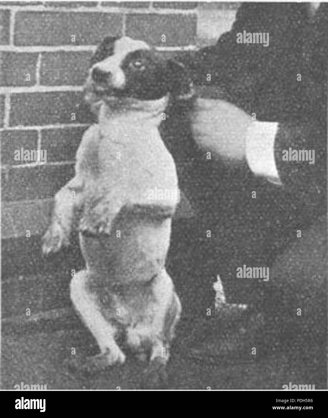 Rothmann High Resolution Stock Photography and Images - Alamy