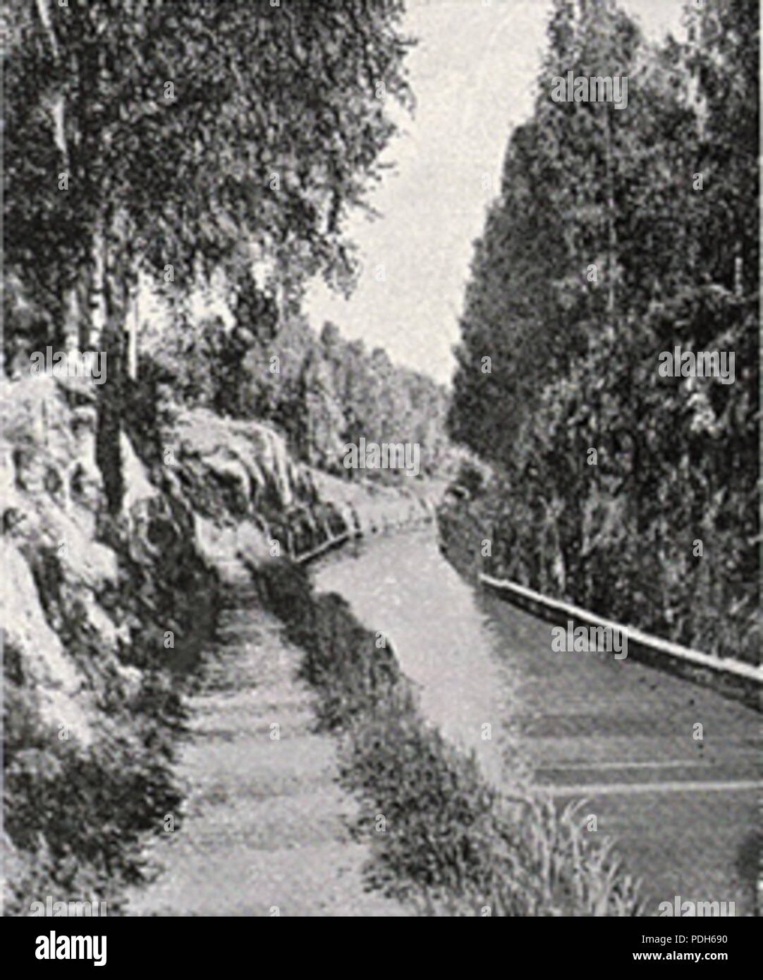 Saimaan hi-res stock photography and images - Alamy