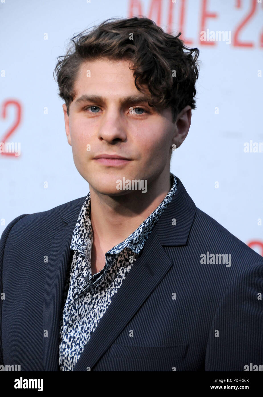 WESTWOOD, CA - AUGUST 09: Actor David Garelik attends the premiere of ...