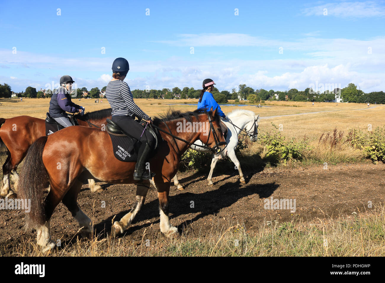 Wimbledon stables hi-res stock photography and images - Alamy