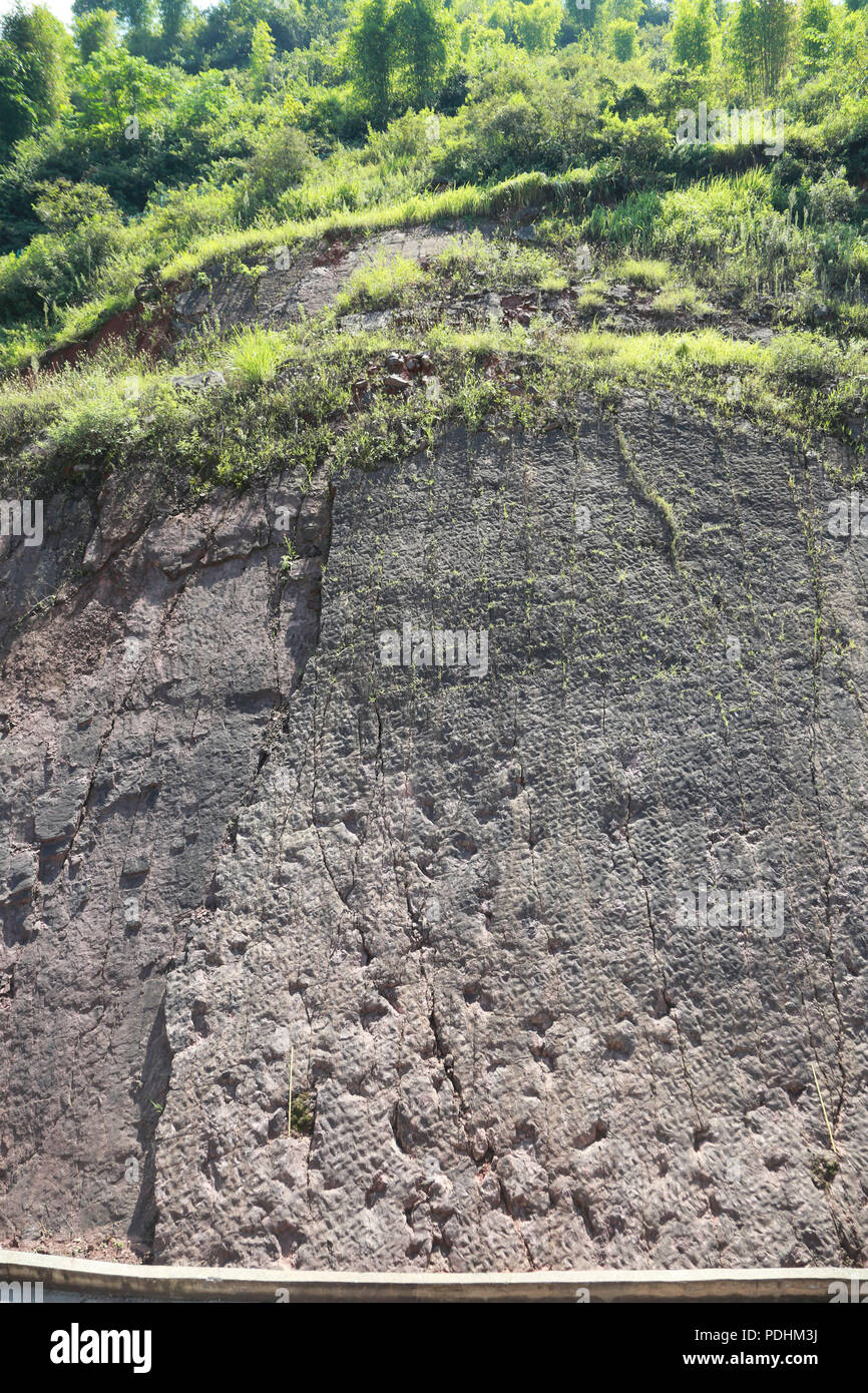 Sauropod footprints hi-res stock photography and images - Alamy