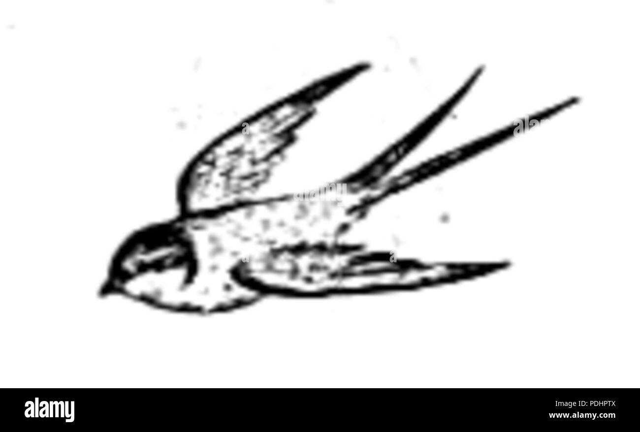 266 Poezye Karola Antoniewicza tom I str 152 Stock Photo - Alamy