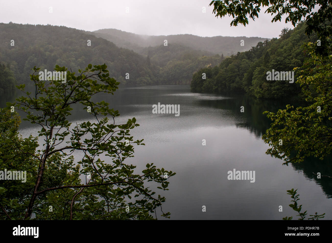 Croatia: vegetation and lake at Plitvice Lakes National Park, one of ...