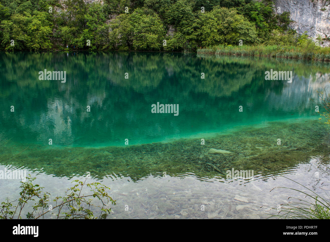 Croatia: vegetation and lake at Plitvice Lakes National Park, one of ...