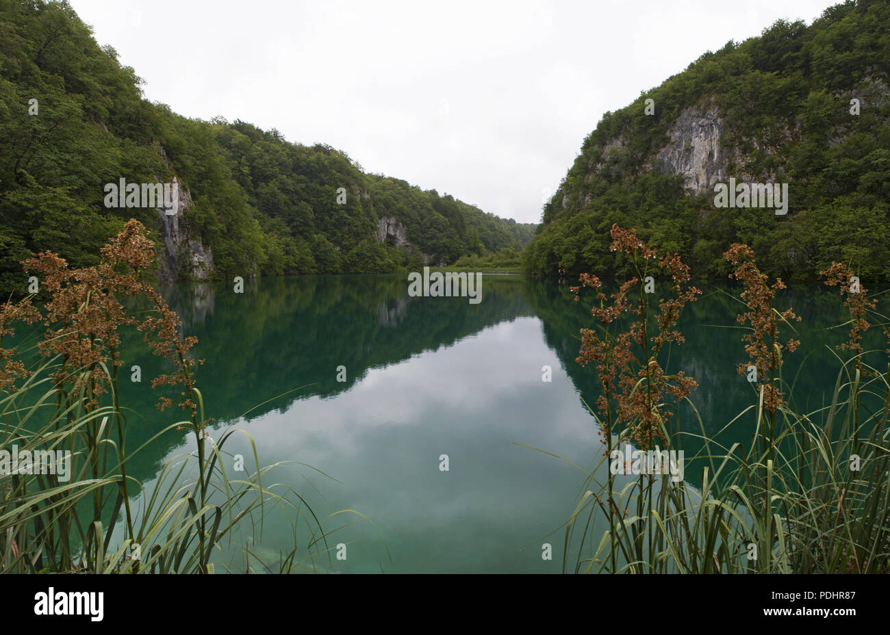 Croatia: vegetation and lake at Plitvice Lakes National Park, one of ...