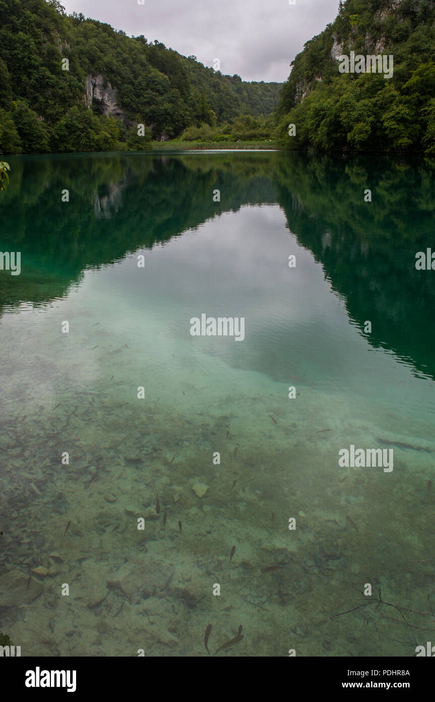 Croatia: vegetation and lake at Plitvice Lakes National Park, one of ...