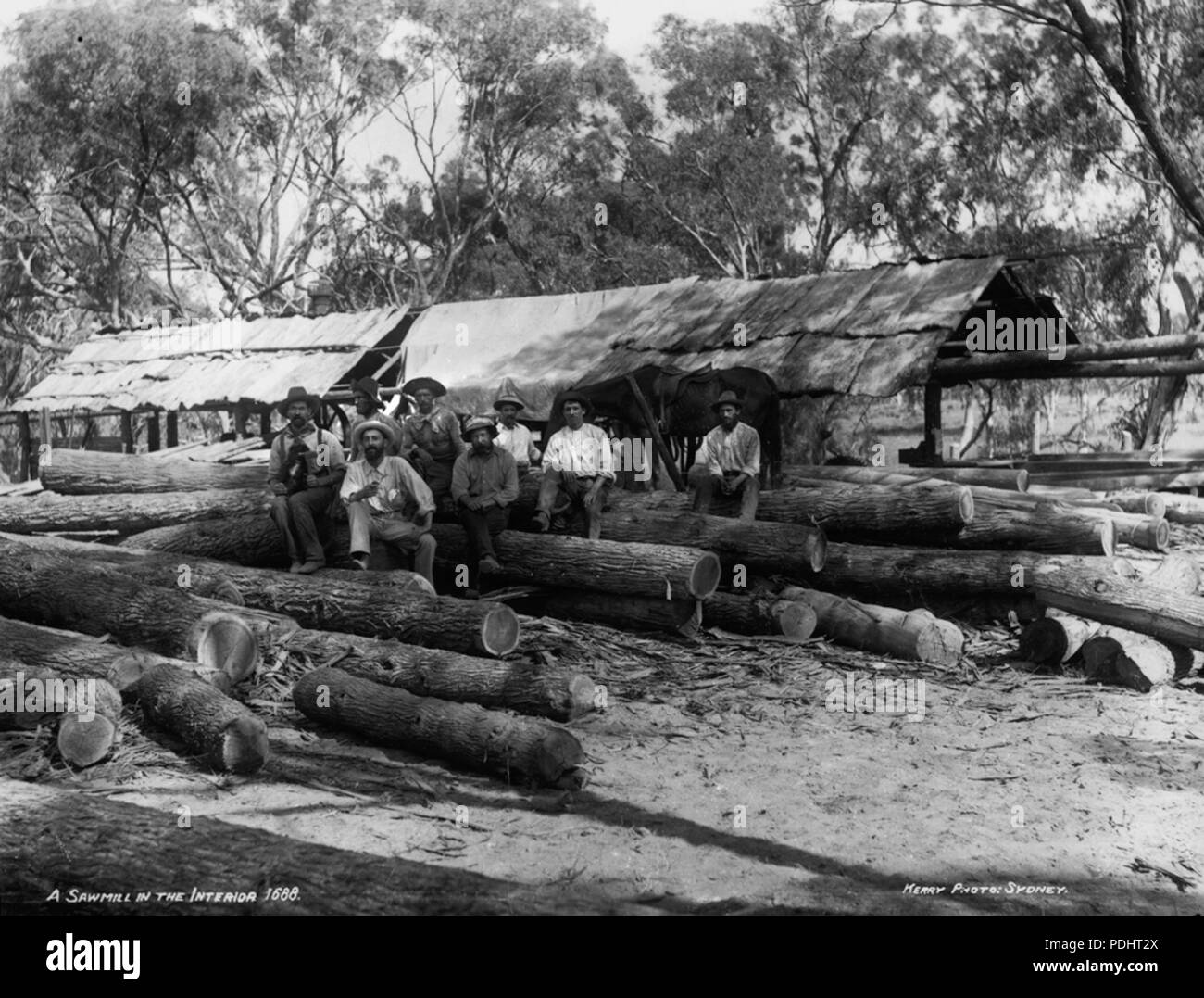 8 A sawmill in the interior from The Powerhouse Museum Collection Stock ...