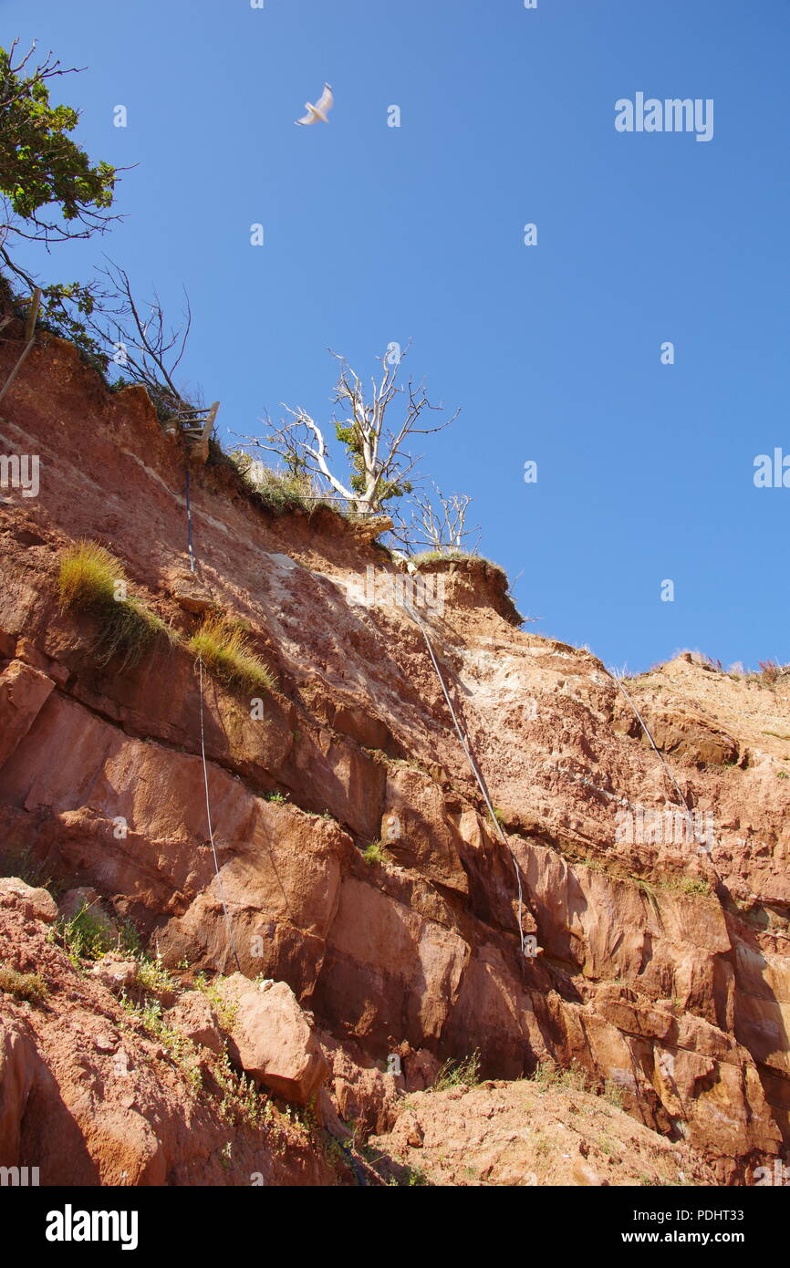 Red Sea Cliffs of Triassic Helsby Sandstone Formation, at Sidmouth ...