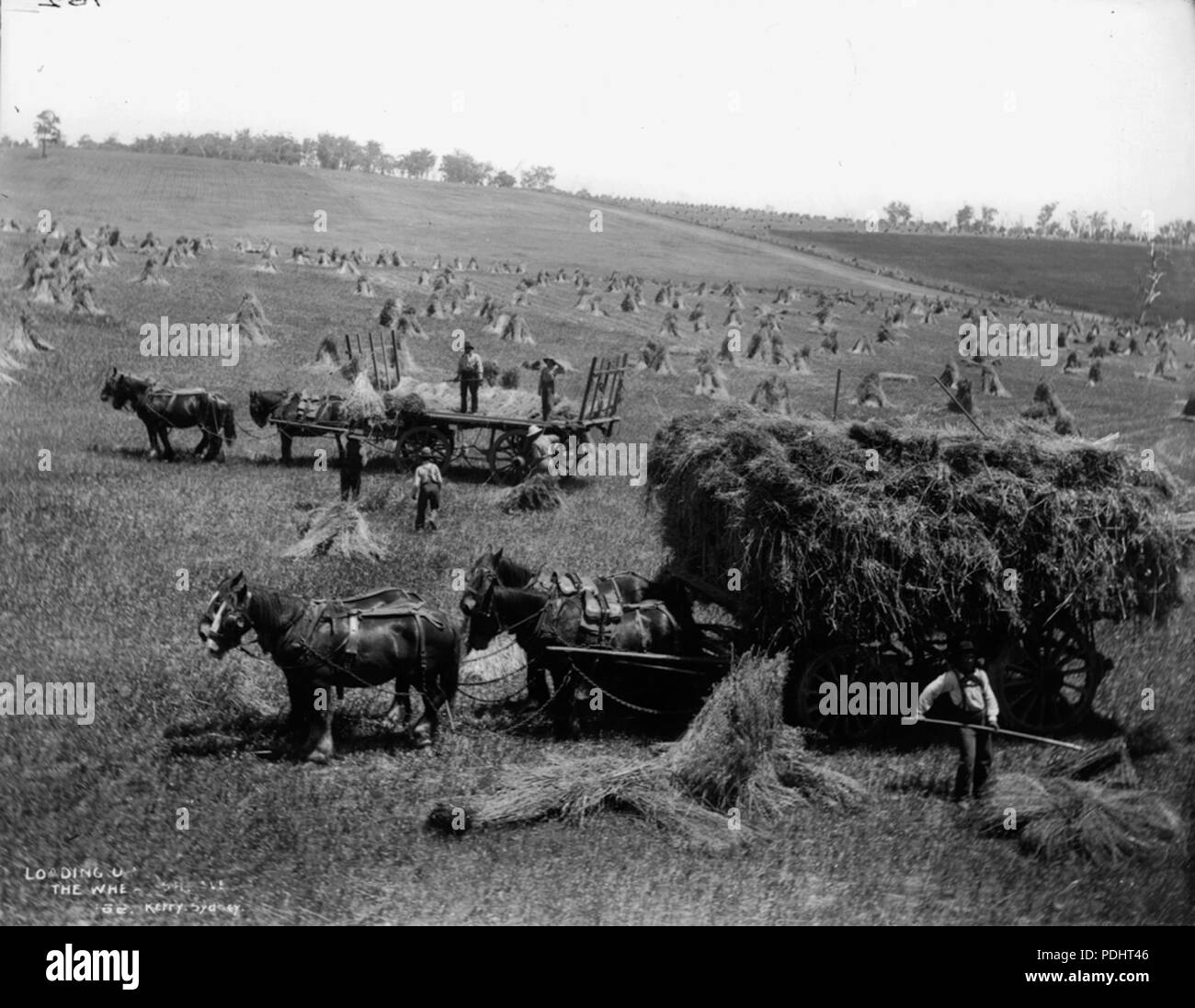 Sheaves of wheat hi-res stock photography and images - Alamy