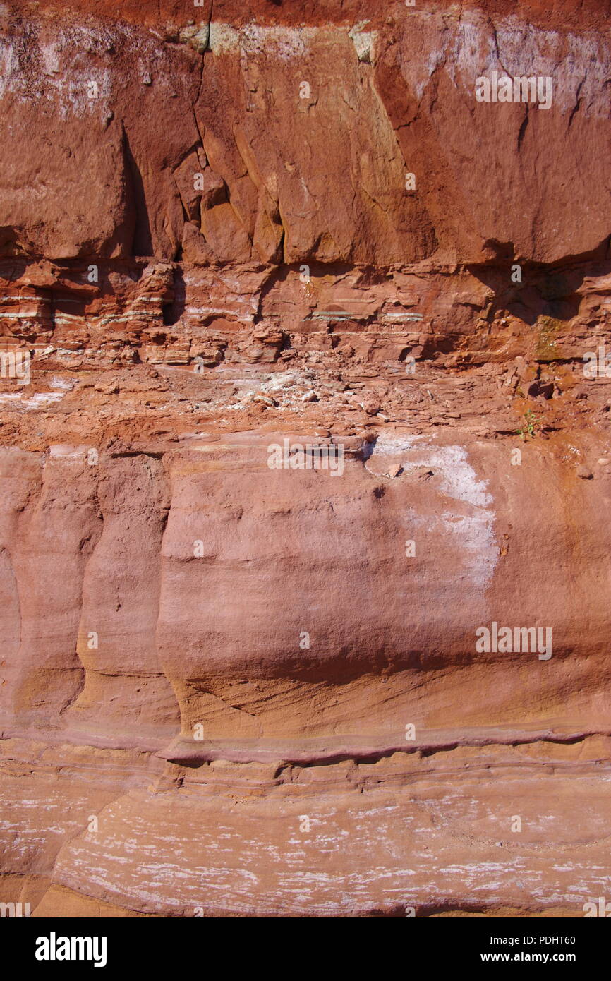 Red Sea Cliffs of Triassic Helsby Sandstone Formation, at Sidmouth ...