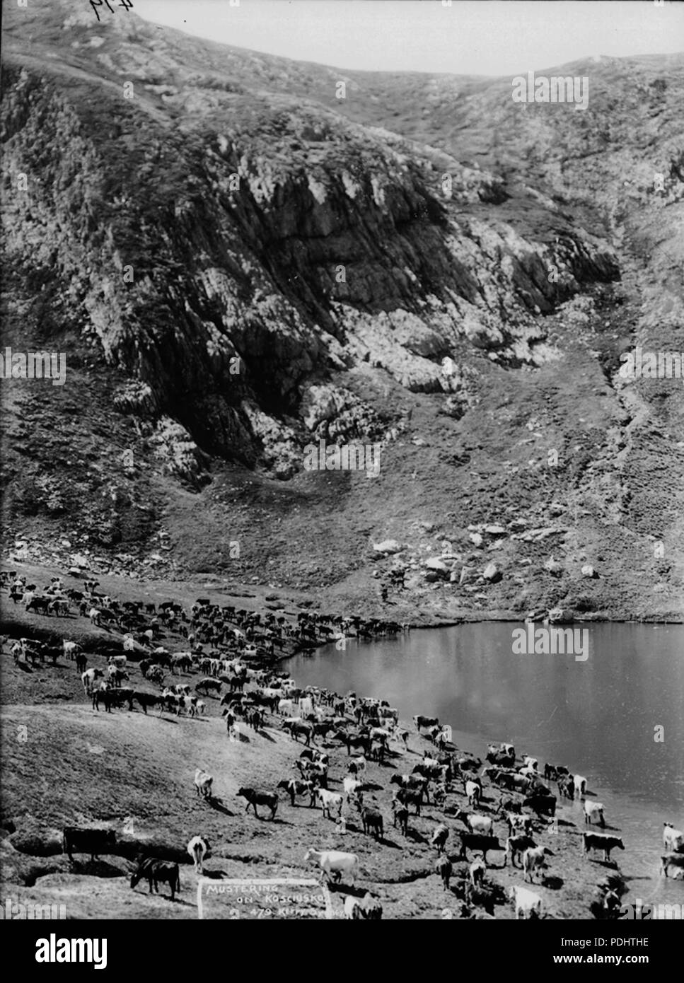 Mustering Black and White Stock Photos & Images - Alamy