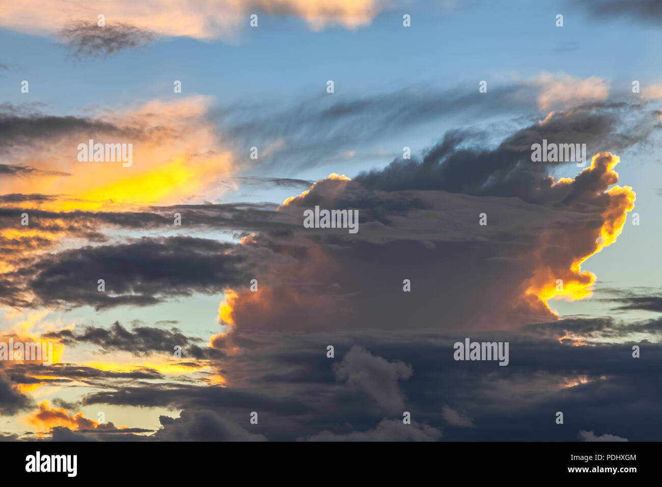 Fancy shapes hi-res stock photography and images - Alamy