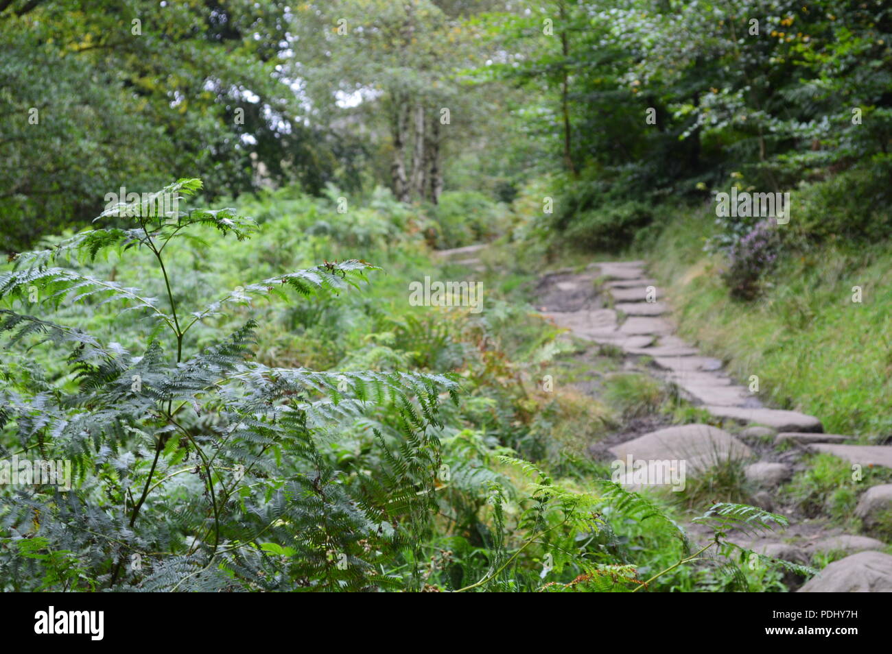 Scenic derbyshire walks hi-res stock photography and images - Alamy
