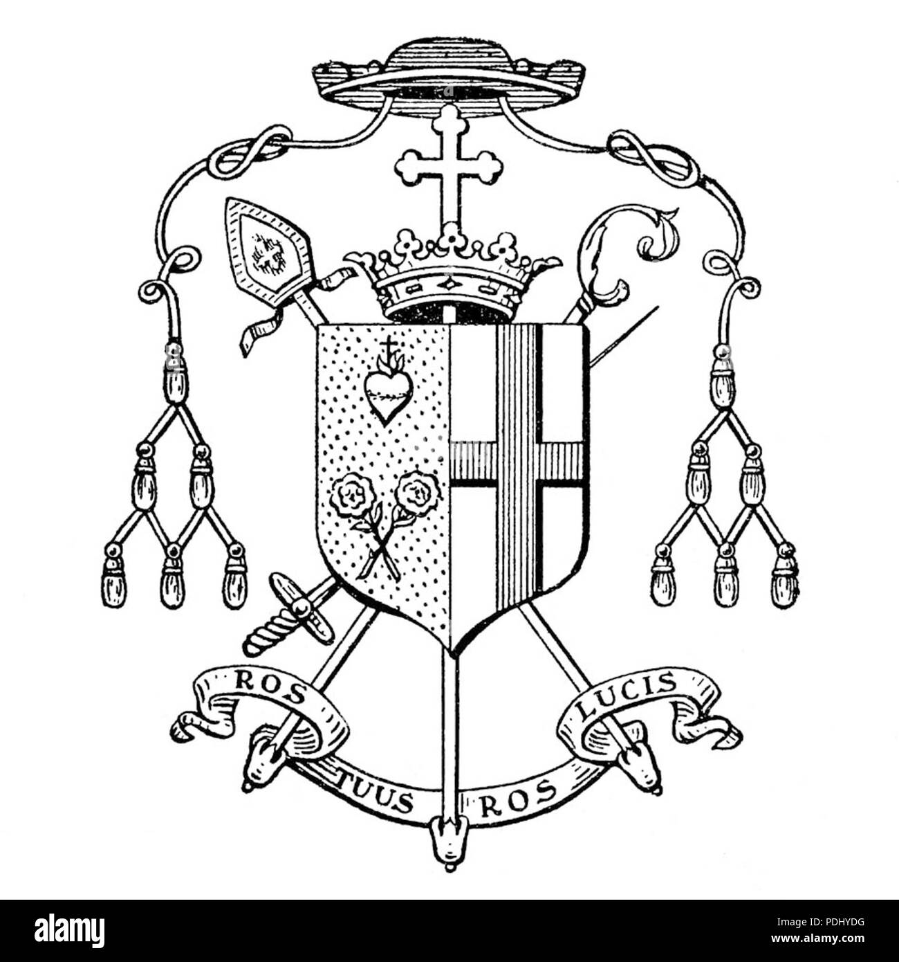 Stemma hi-res stock photography and images - Alamy