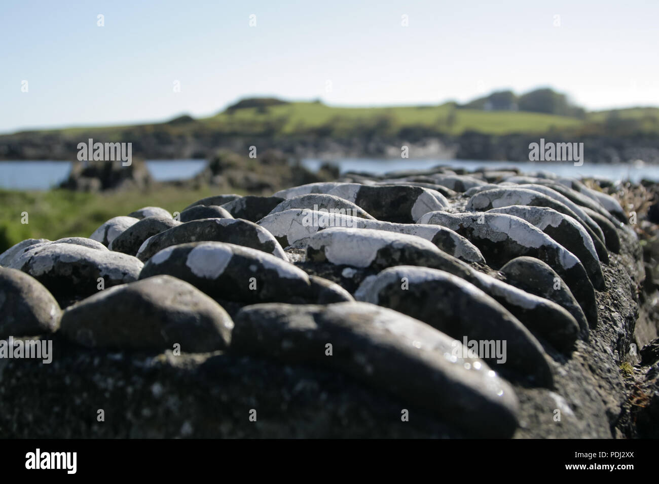 Row of pebbles hi-res stock photography and images - Alamy