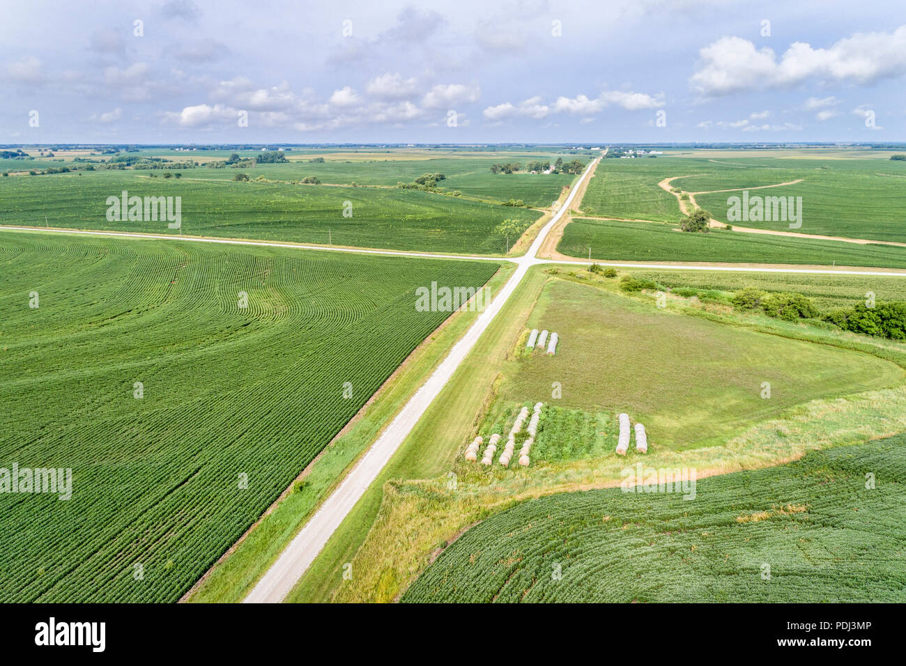 aerial view of rural Nebraska landscape with a farm road, soybean field ...