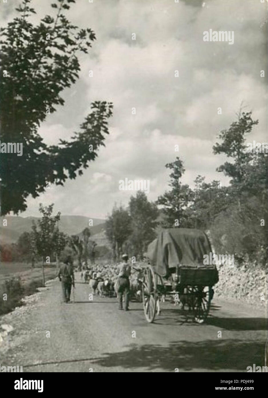 Transhumance provence hi-res stock photography and images - Alamy