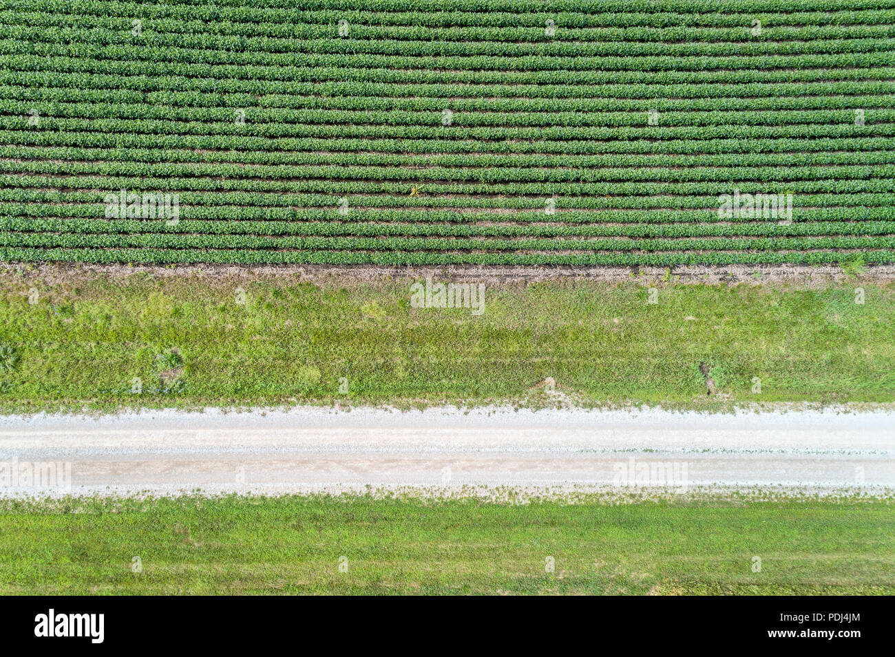 Aerial agriculture nebraska hi-res stock photography and images - Alamy
