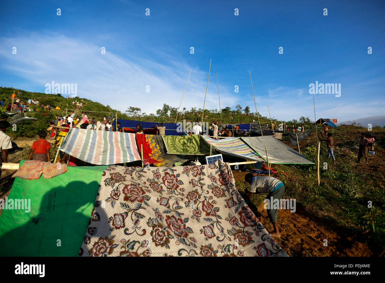 Newly arrived Rohingya refugees are building new shelters by cutting ...