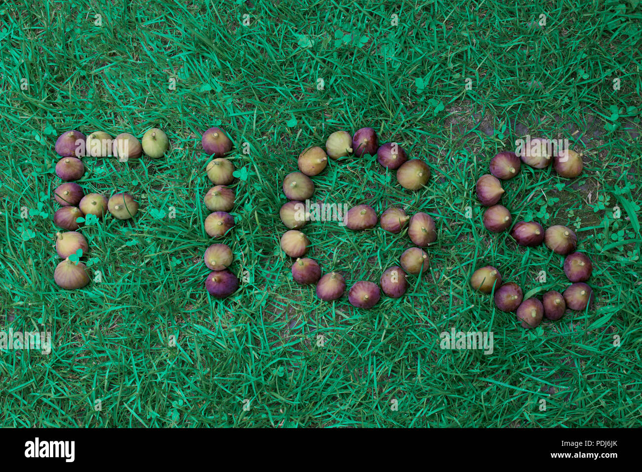 Fig alphabet hi-res stock photography and images - Alamy