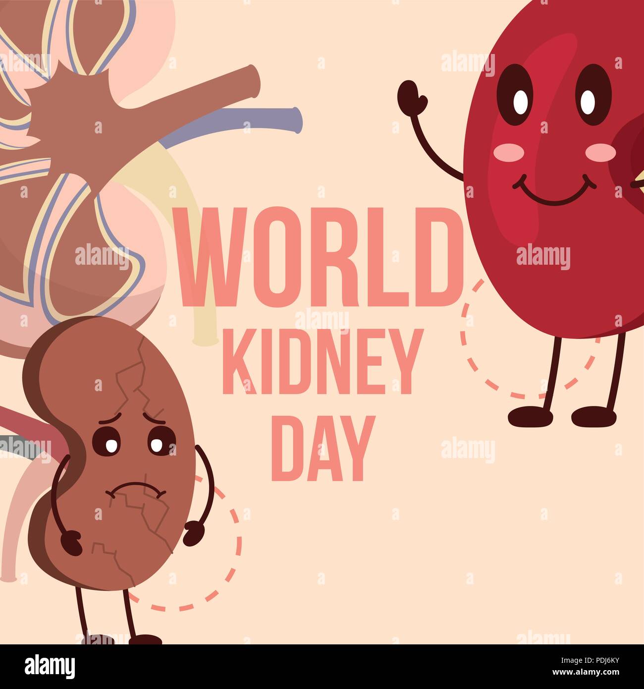 cartoon kidneys characters world kidney day Stock Vector Image & Art ...