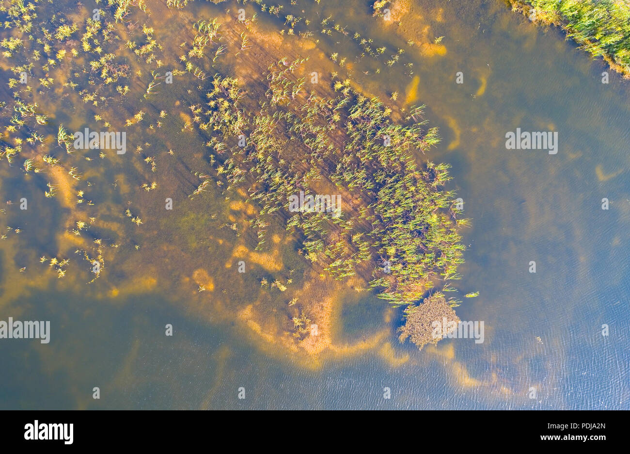 Transparent pond hi-res stock photography and images - Alamy