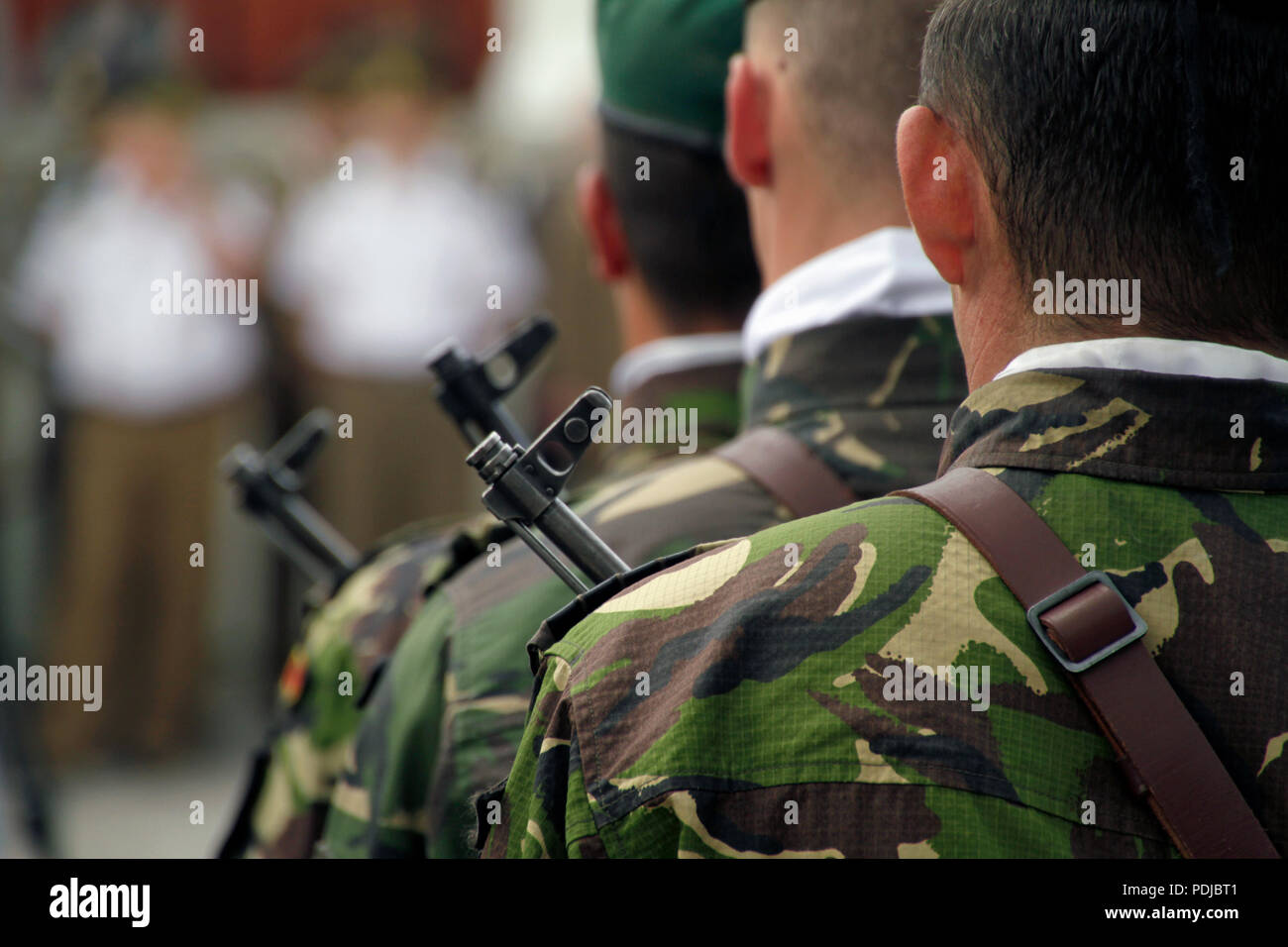 Soldiers standing guard during a military parade Stock Photo - Alamy