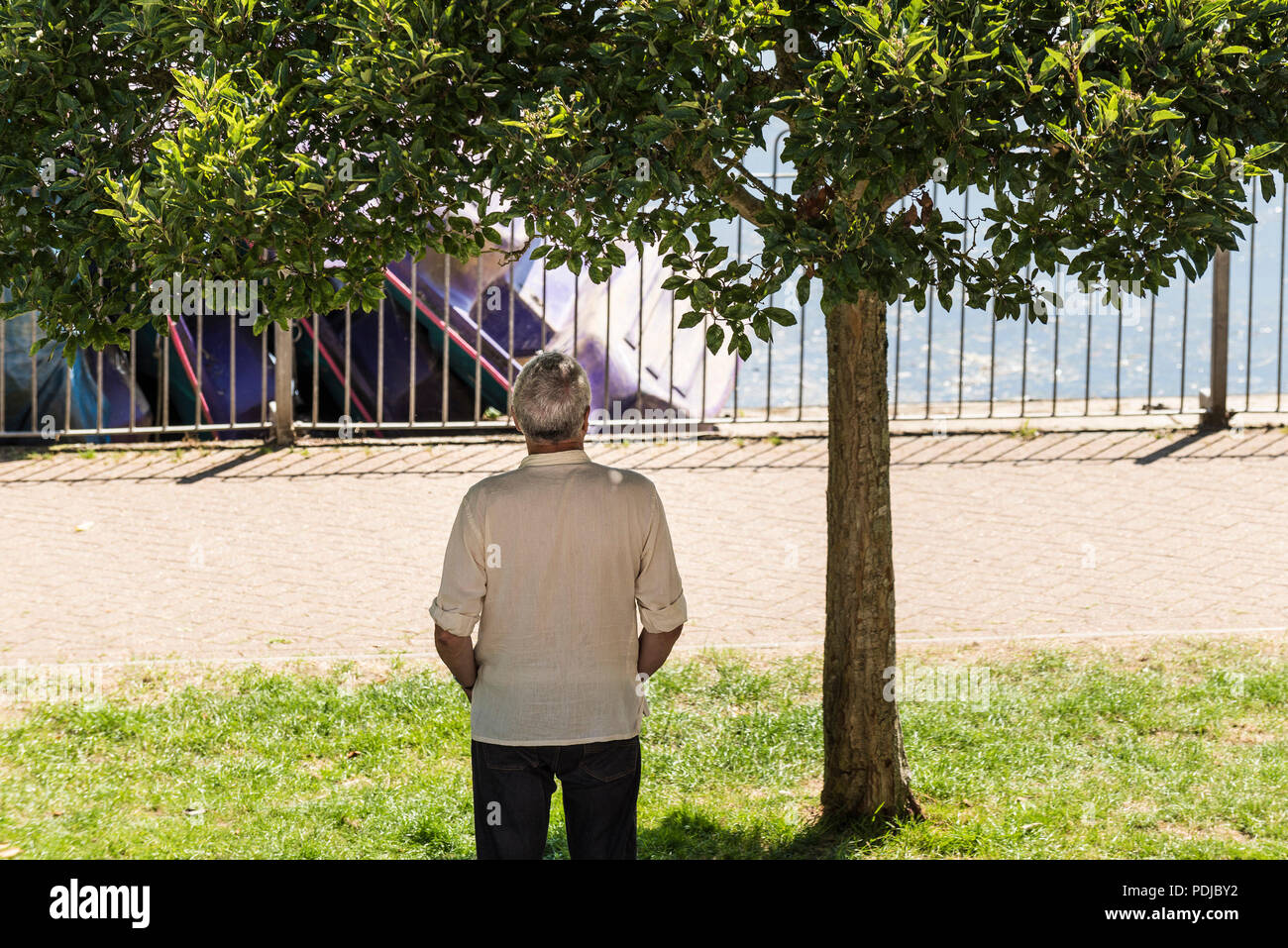 A man standing in the shade under a tree in Trenance Park in Newquay ...
