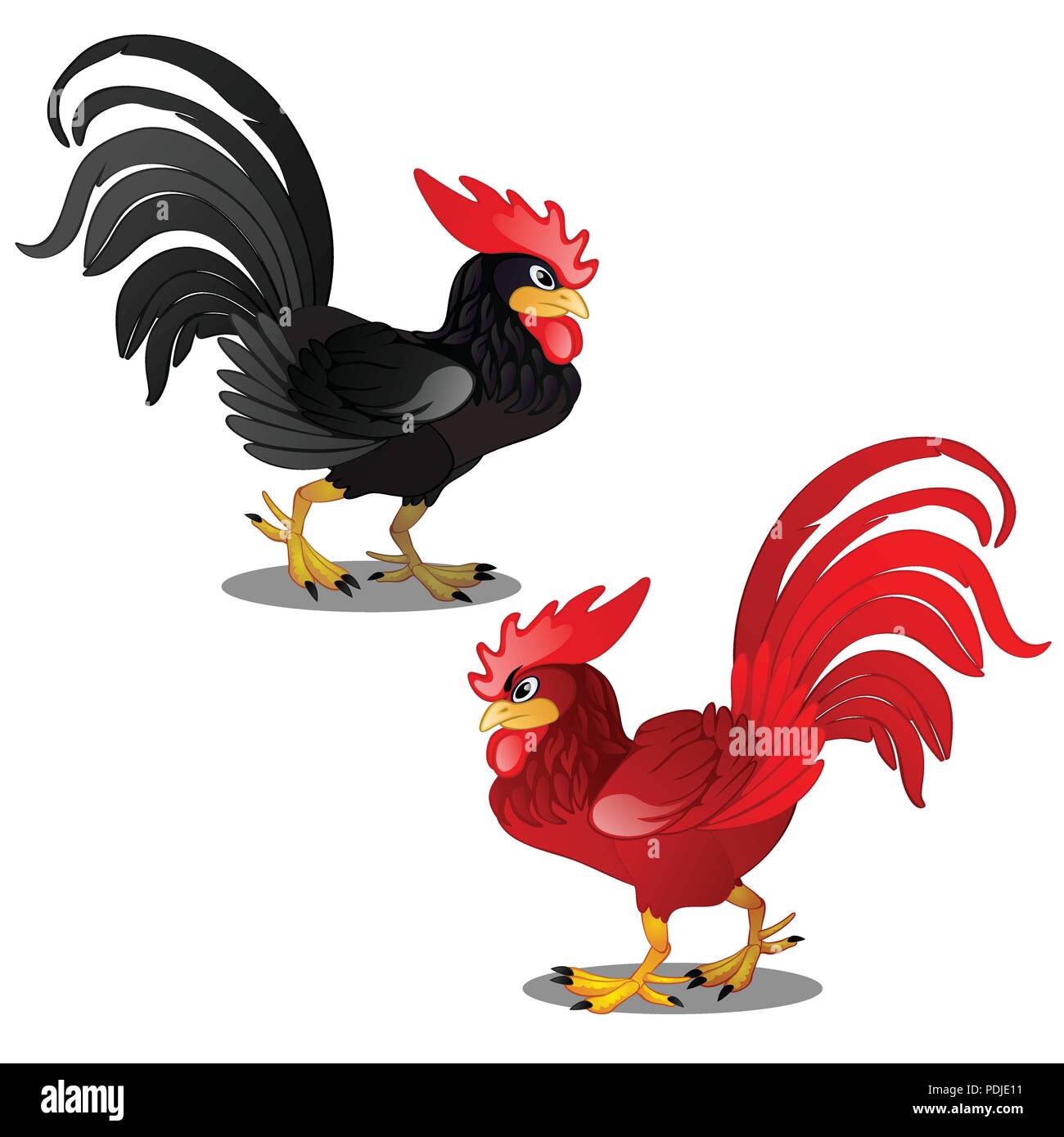 Two animated cartoon rooster black and red isolated on white background ...