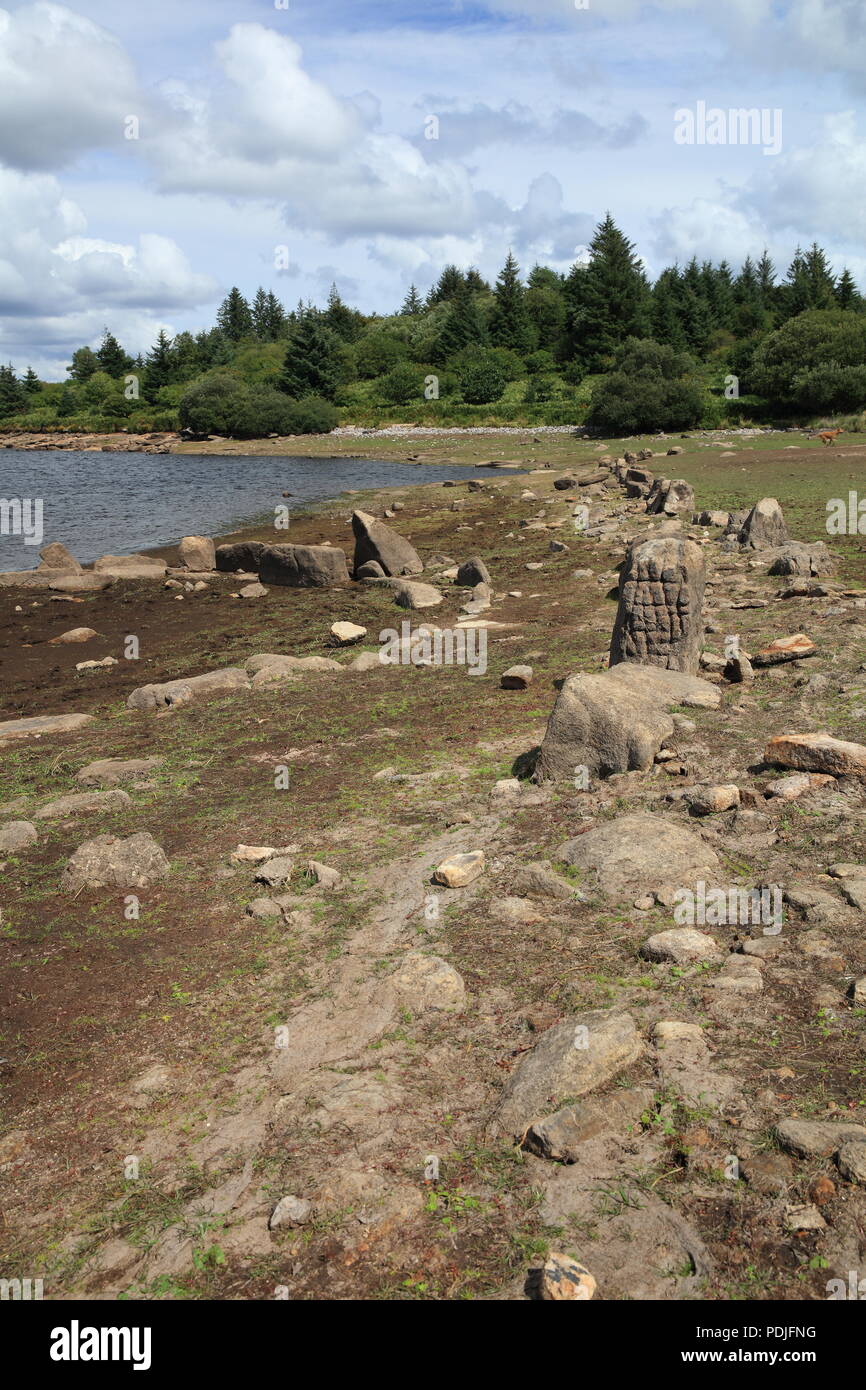 Fernworthy reservoir prehistoric hut circles, exposed by drought ...