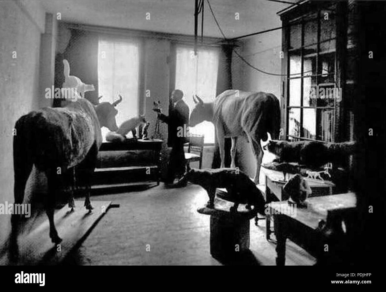 Ter Meer High Resolution Stock Photography and Images - Alamy