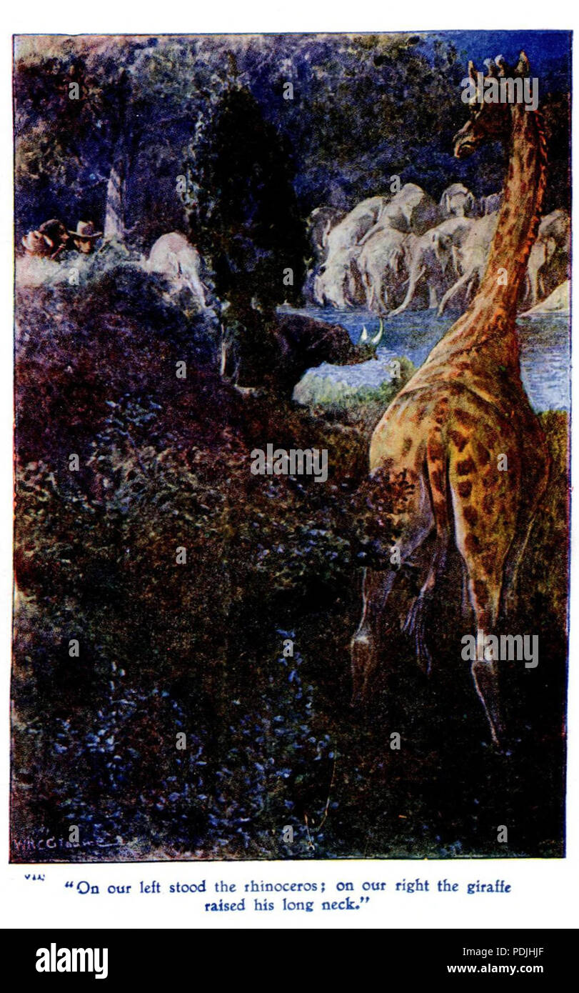 Gorilla behavior study hi-res stock photography and images - Alamy