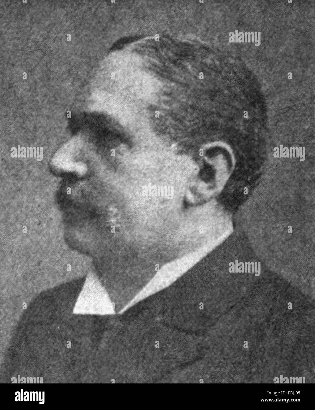 Albino Black and White Stock Photos & Images - Alamy