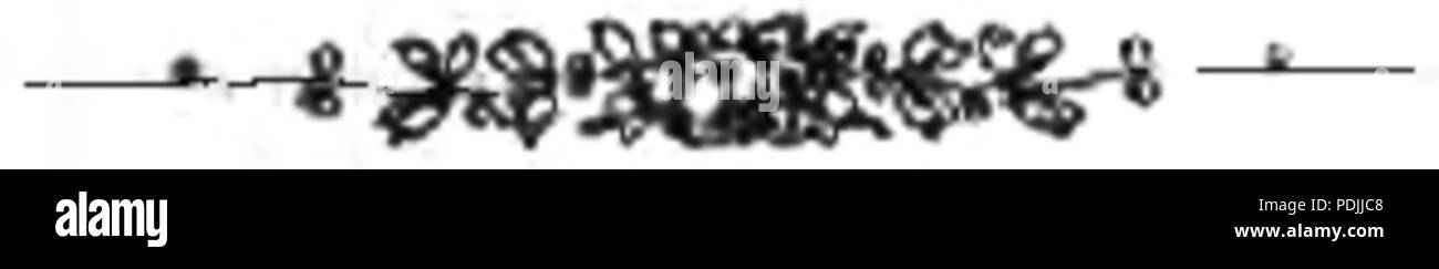 362 Upominek - ozdobnik str. 51 Stock Photo - Alamy