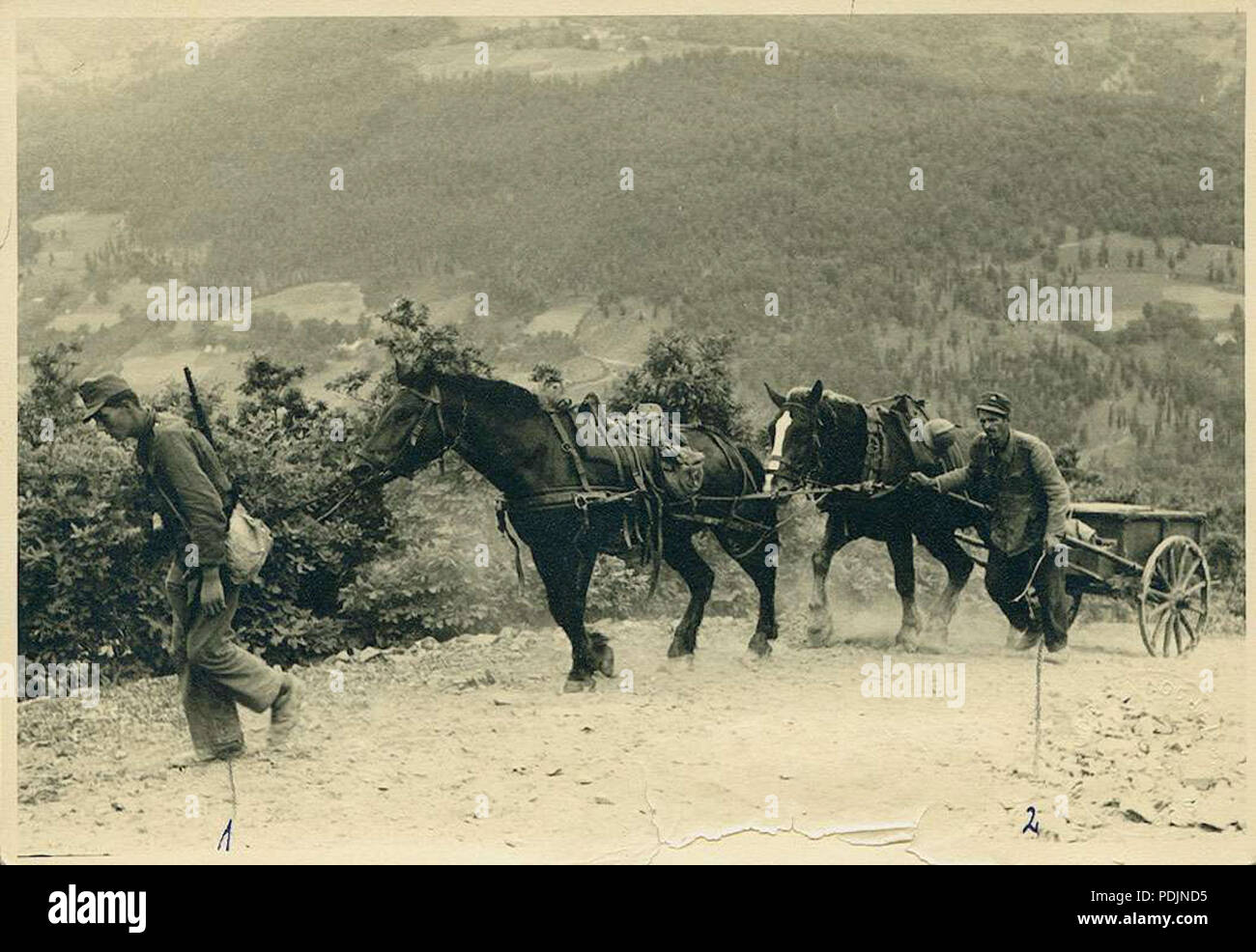 Domobrani hi-res stock photography and images - Alamy