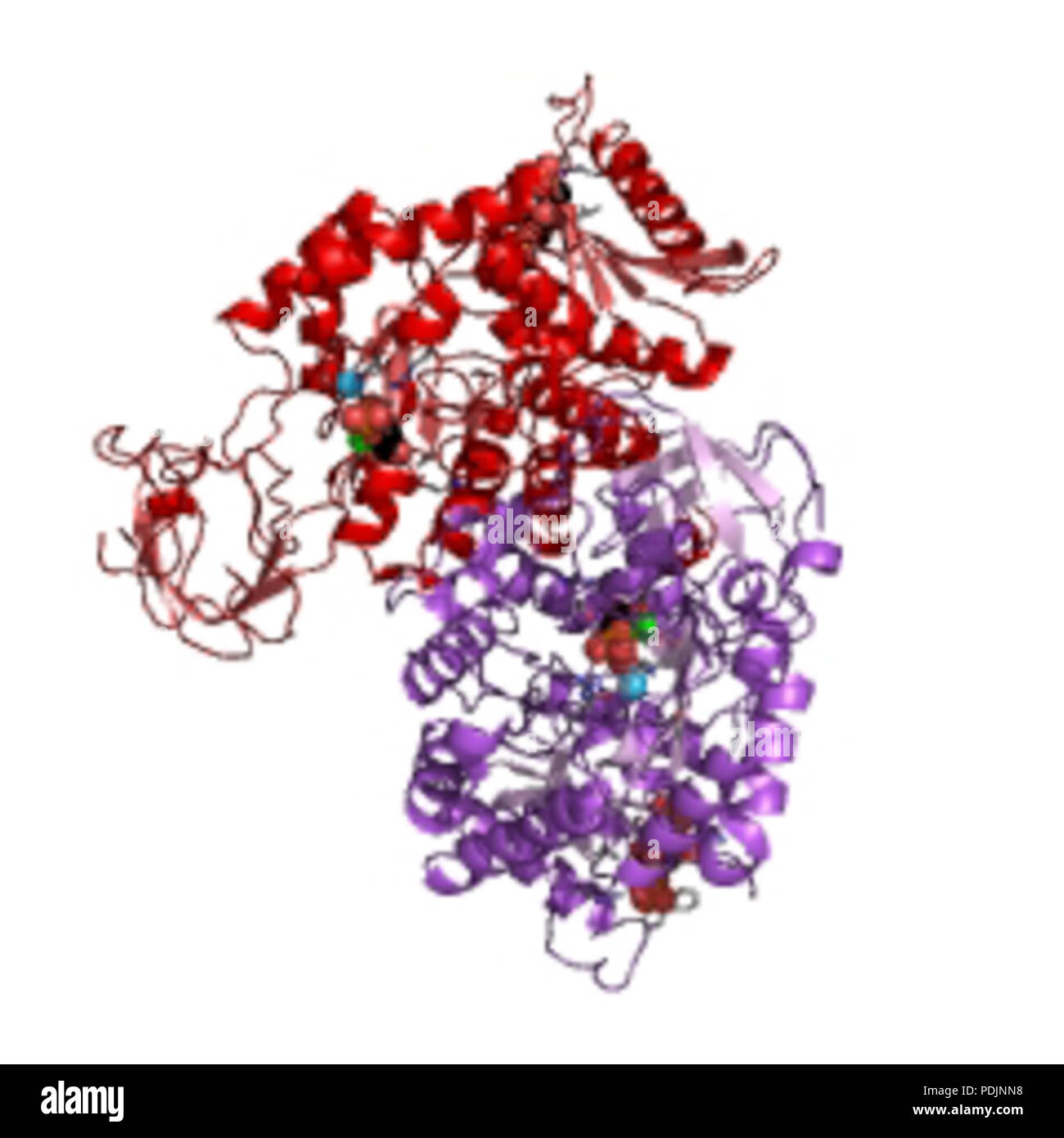 Pyruvate kinase hi-res stock photography and images - Alamy