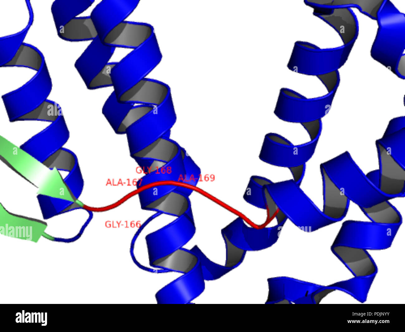 Catalytic cycle hi-res stock photography and images - Alamy