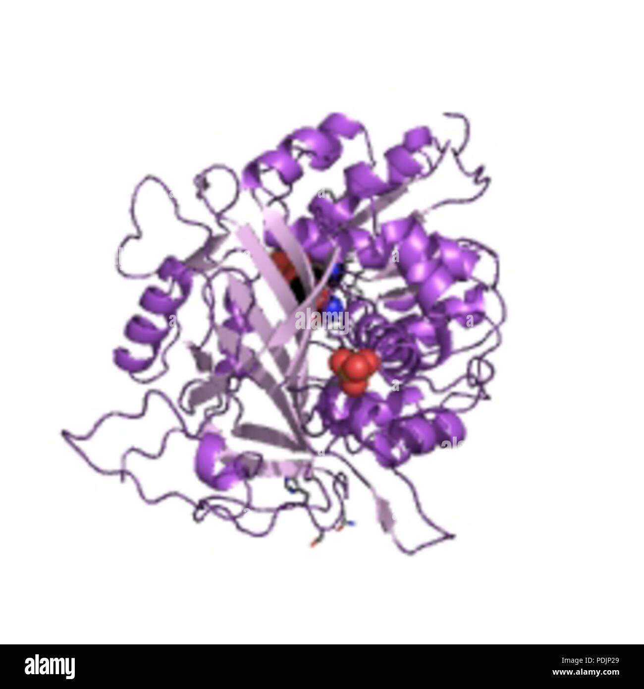 Id 5 hi-res stock photography and images - Alamy