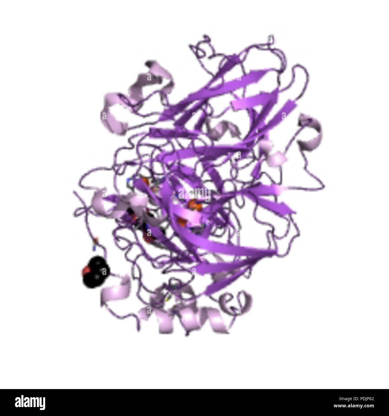 3 Laccase structure Stock Photo - Alamy