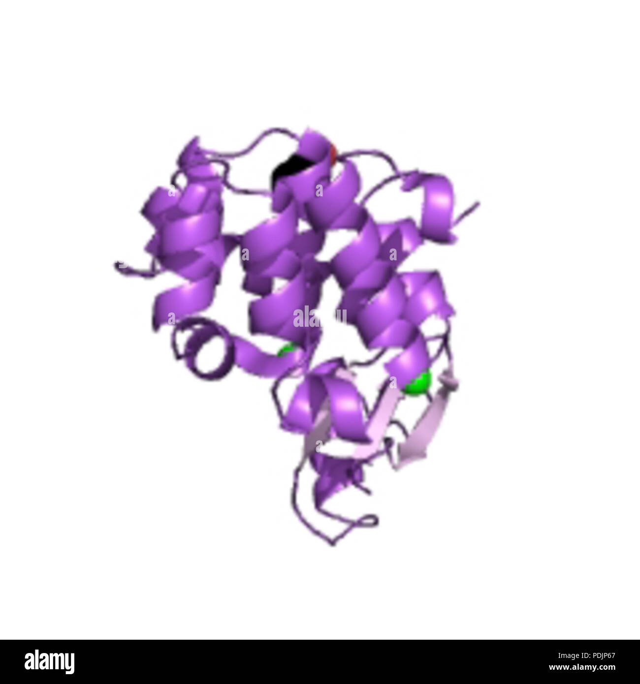 Lisozima hi-res stock photography and images - Alamy