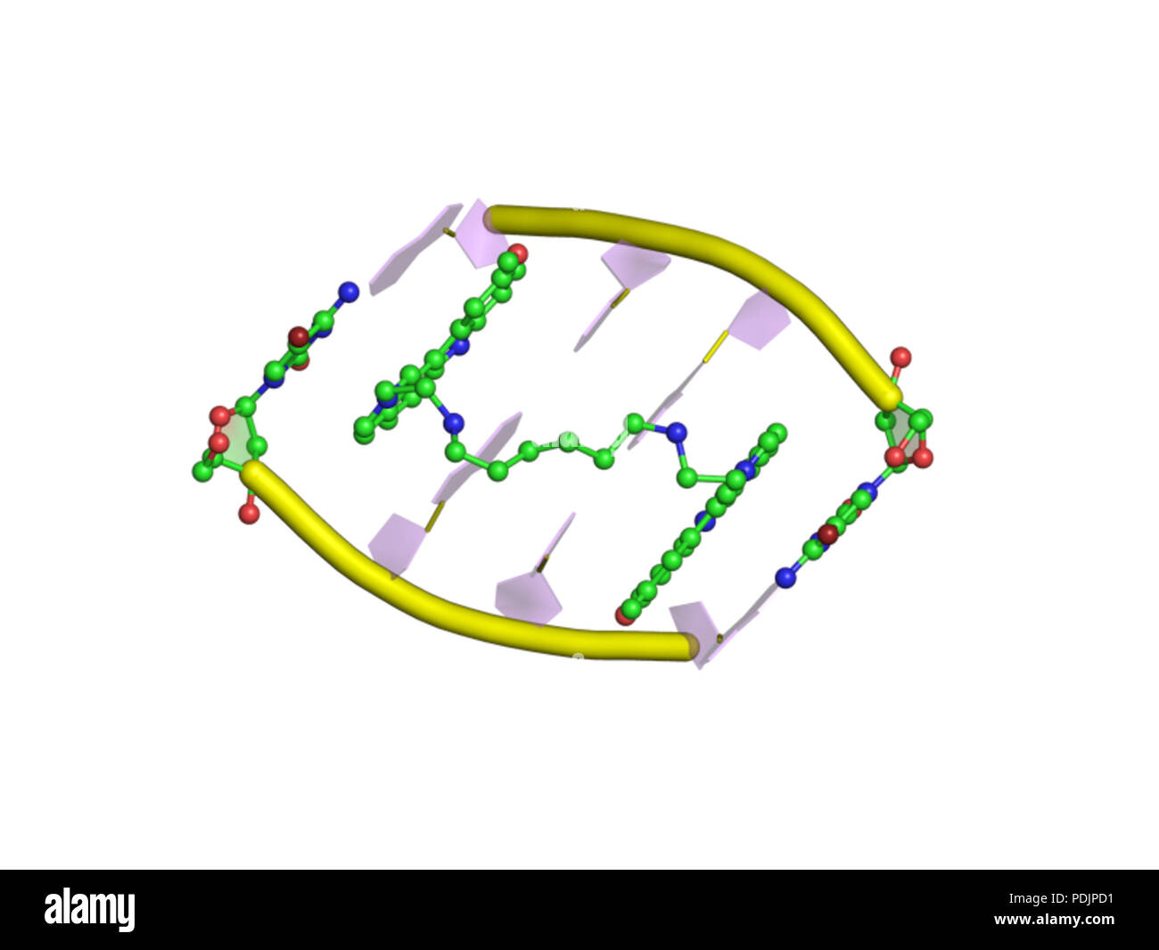 Scientific cataloging system hi-res stock photography and images - Alamy