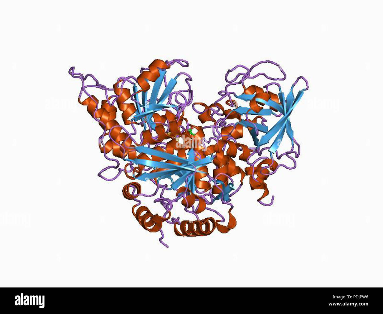 1ami hi-res stock photography and images - Alamy