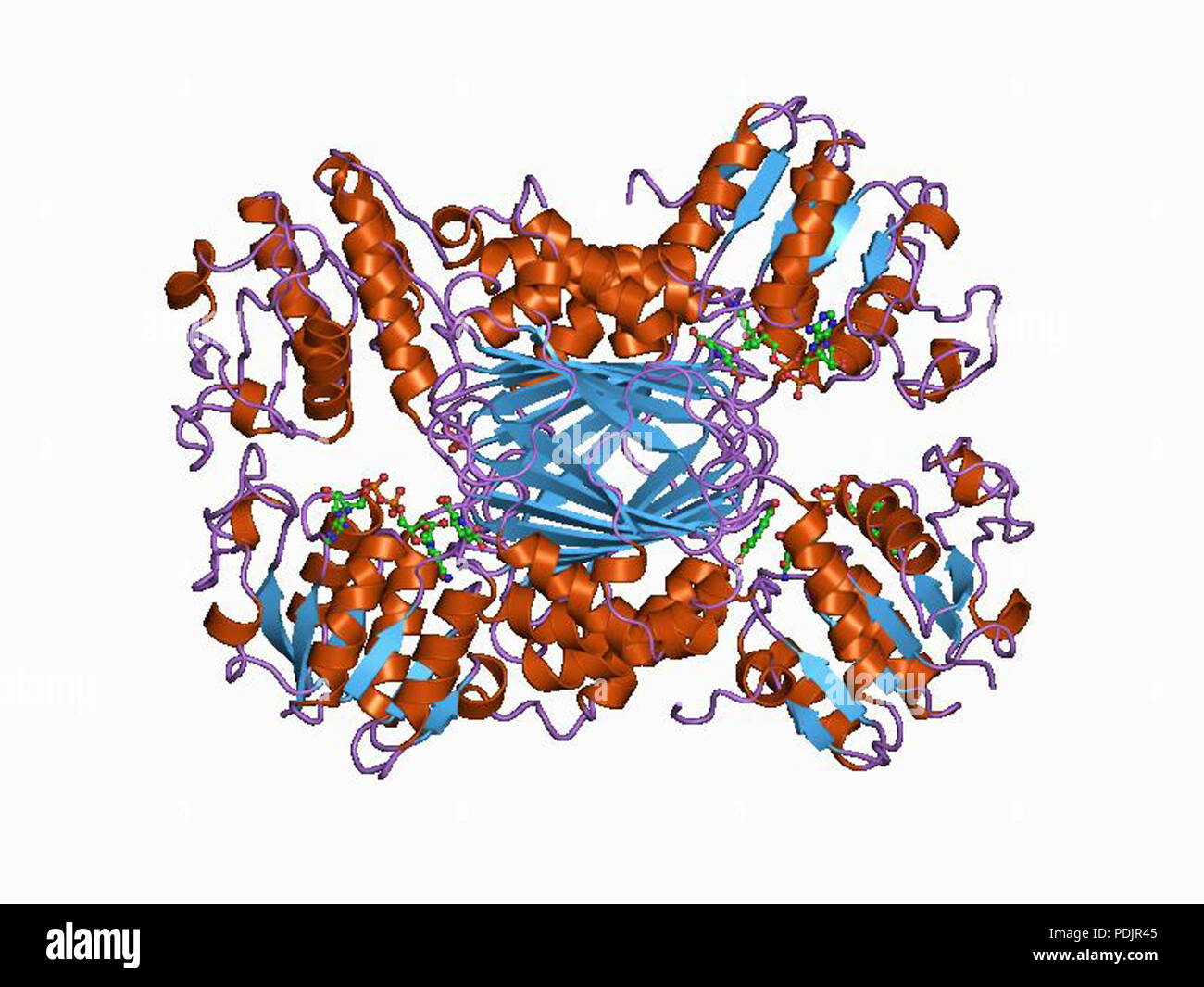 9 sheet Cut Out Stock Images & Pictures - Alamy