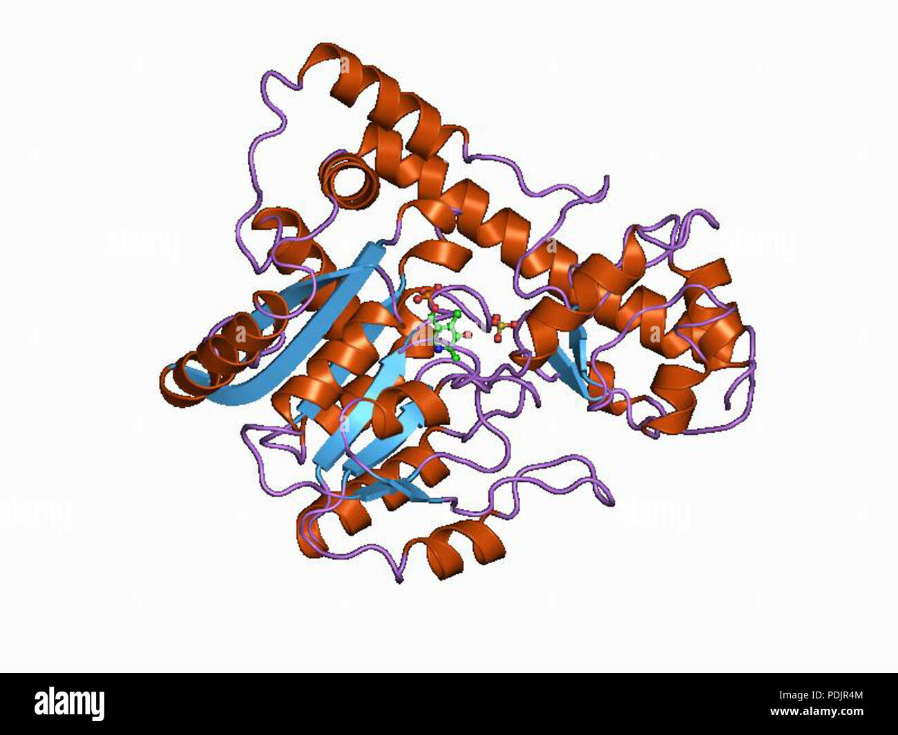 9 PDB 1asf EBI Stock Photo - Alamy