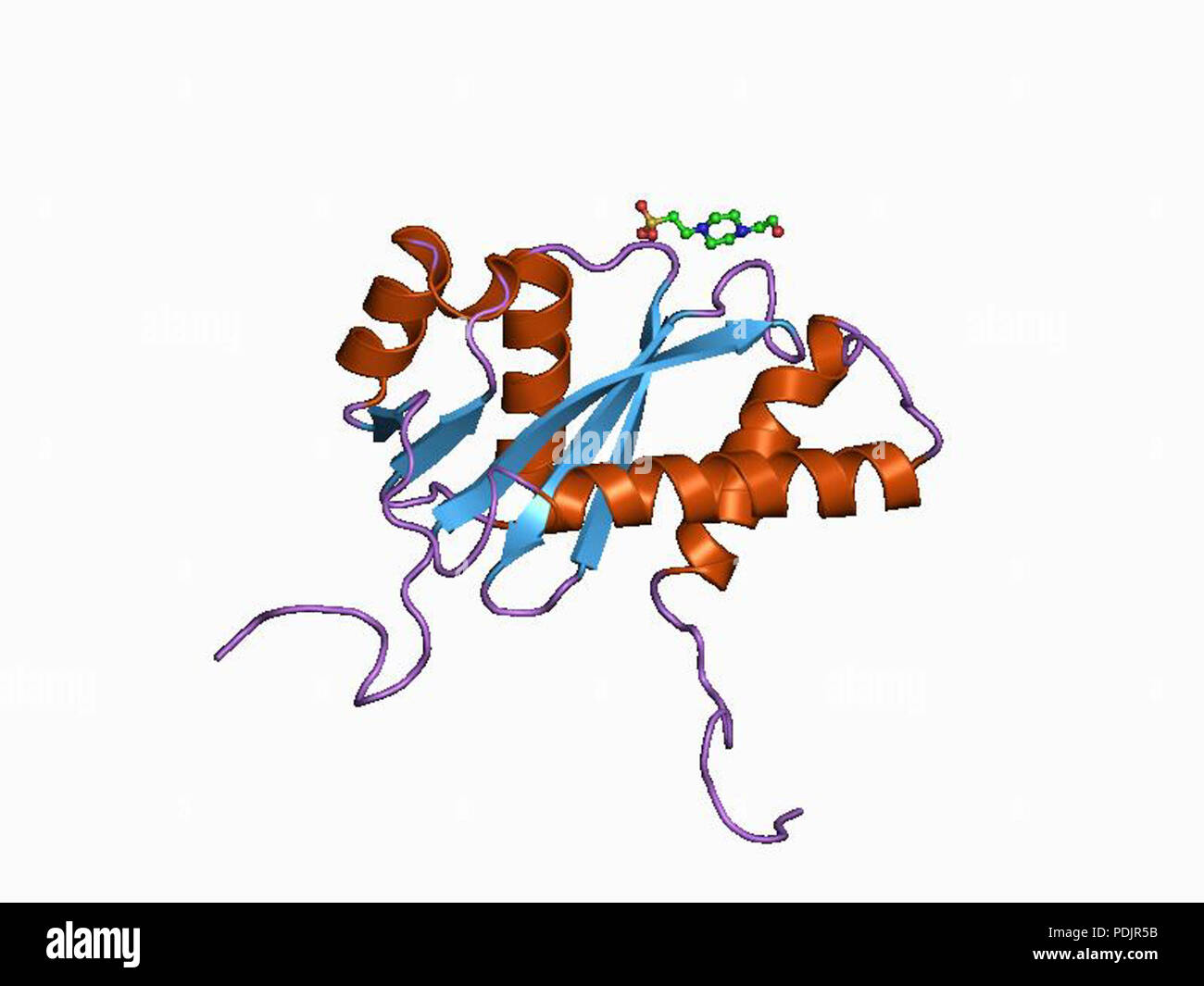 Primarysource hi-res stock photography and images - Alamy