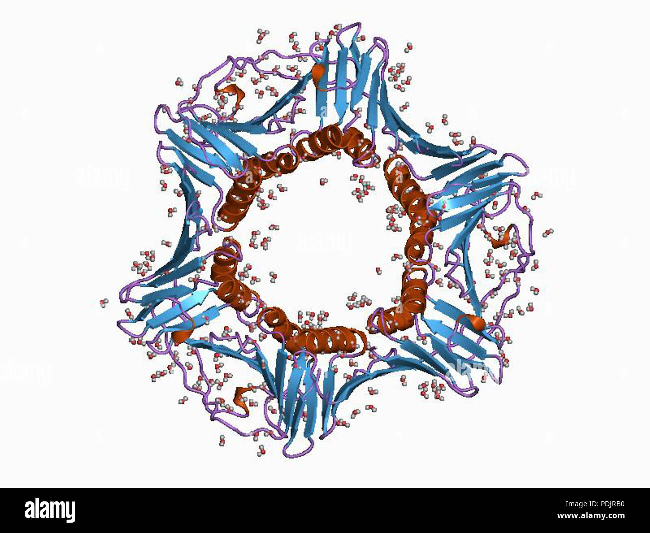 Kuriyan hi-res stock photography and images - Alamy