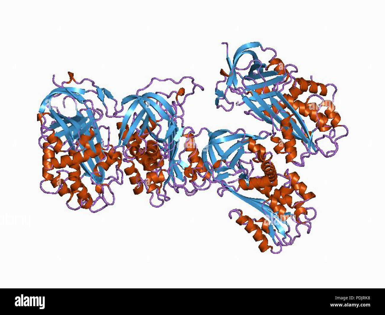 Protein simulation hi-res stock photography and images - Alamy