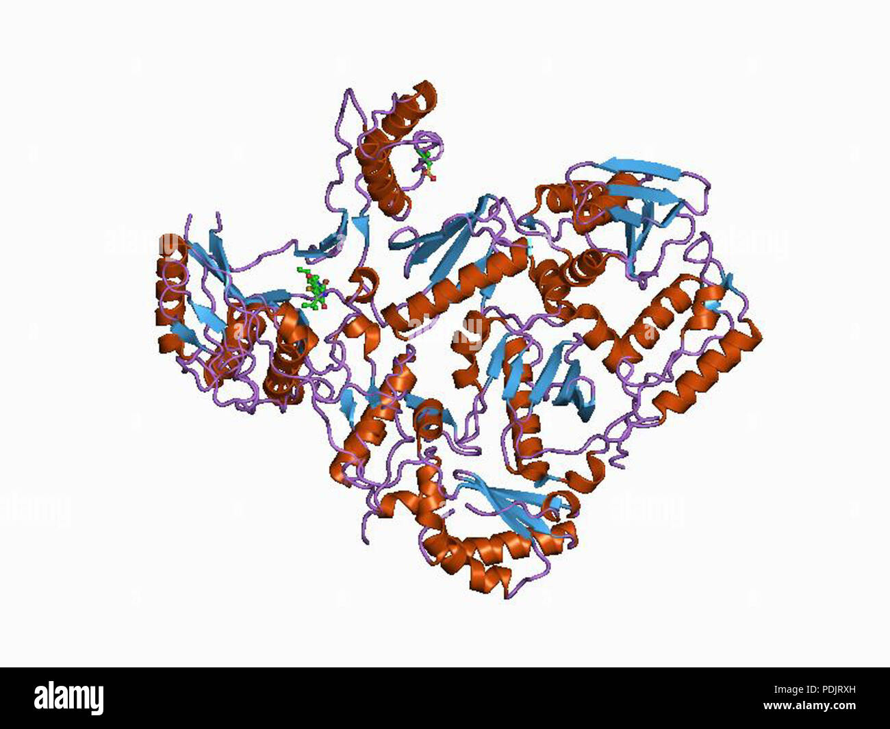 16 PDB 1c1c EBI Stock Photo - Alamy