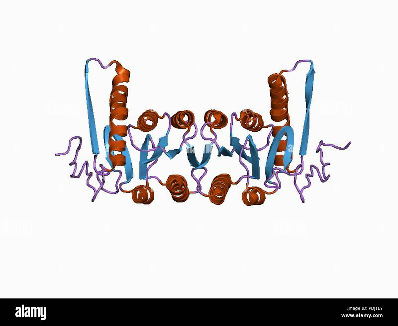 Imaging processes Cut Out Stock Images & Pictures - Alamy