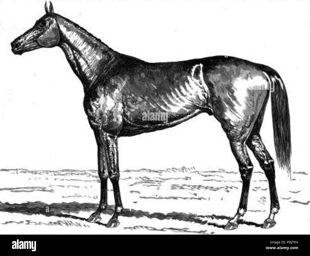 Martini henry hi-res stock photography and images - Alamy